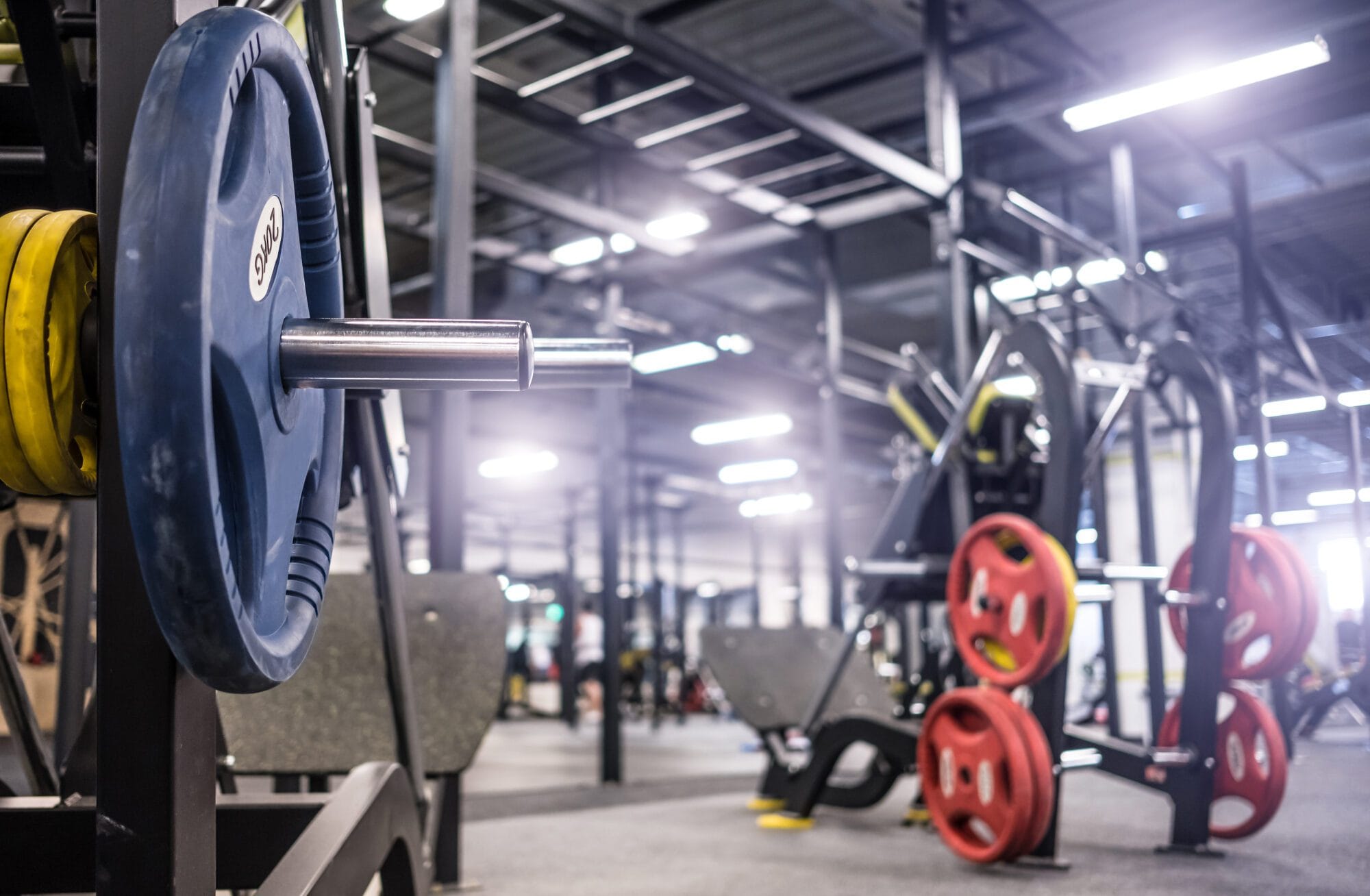 Why Velocity Based Training is Important: Science & Uses